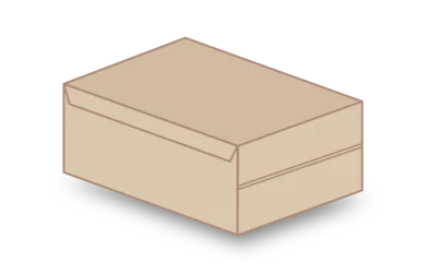 Altair - Wrap-around case packer | Robopac